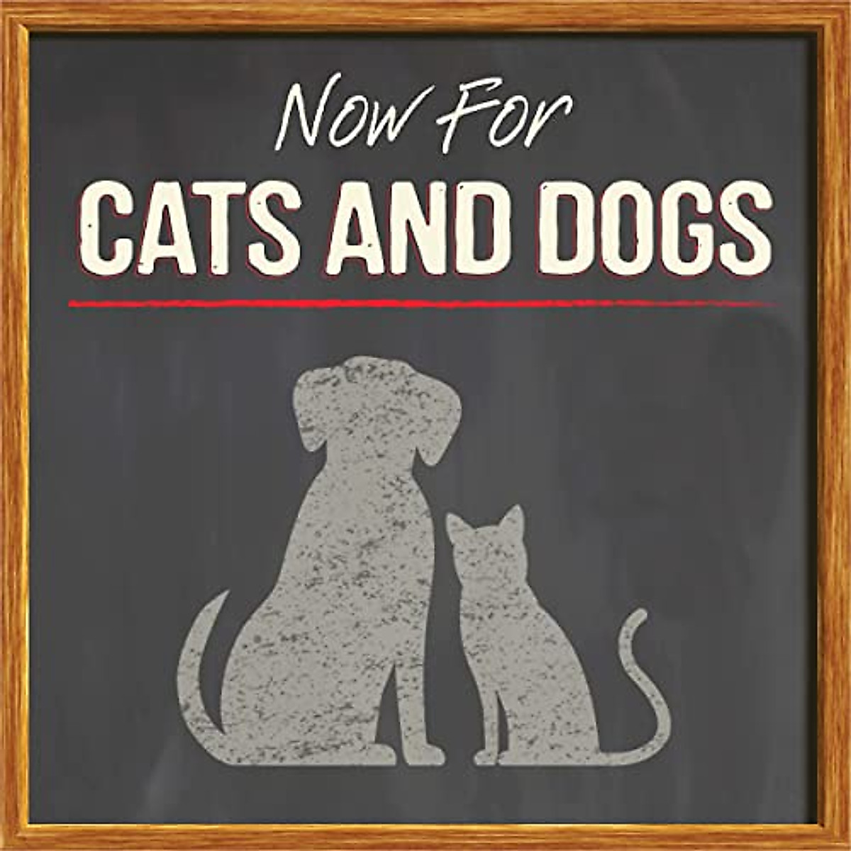 Merrick Grain Free Beef Bone Broth, Dog Food Topper - 16 oz. Pouch