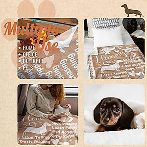 InnoBeta Dachshund Gifts, Dachshund Flannel Blanket for Dachshund Lovers, Soft Throw Blanket for Women, Her, Adults, Friends, Wife, Bed, Sofa Blanket - Brown 50"x 65"