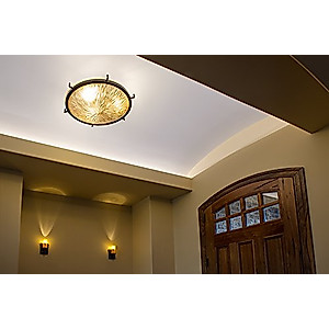 CBconcept - 10 Bulbs - 12V 75 Watts, Frosted, AC/DC JC T3 G6.35 Bi-Pin 75W Halogen Light Bulb, Accent Lighting, Chandelier, Puck Light, Microwave, Range, RV, Landscape Lighting - Designed in CA