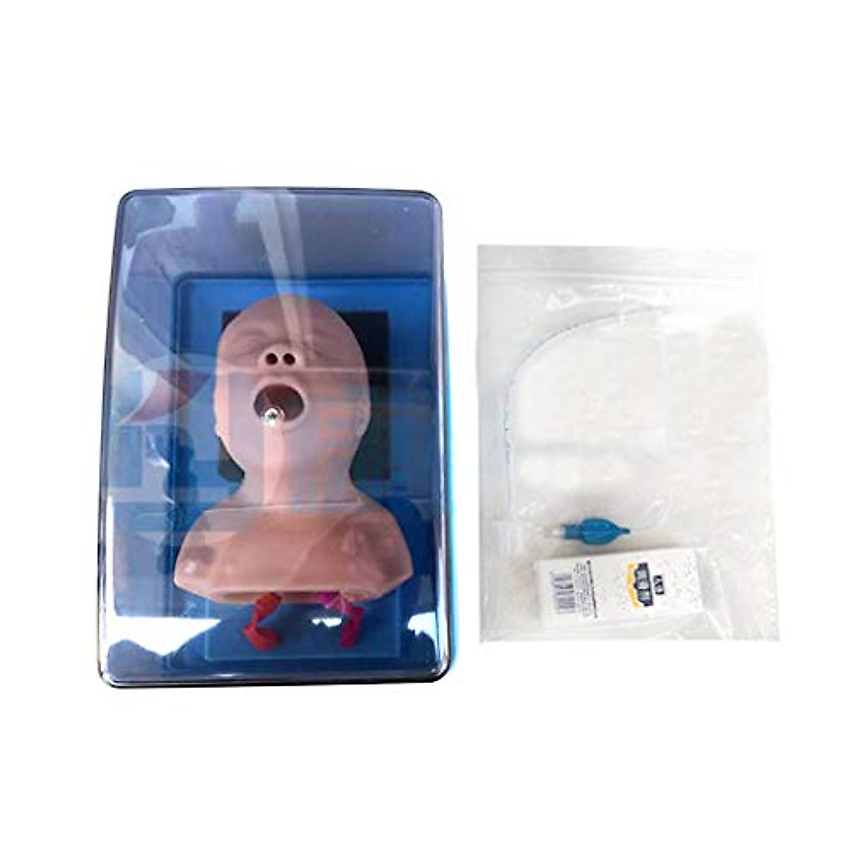PVC Material Pediatric Intubation Manikin Study Teaching Baby Model Education Nurse Lab Airway Management Trainer Endotracheal Intubation Procedure Teaching Study