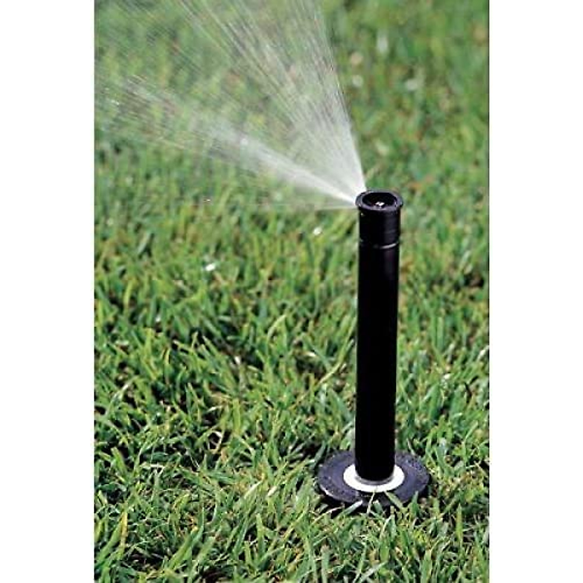 Rain Bird 1806APPRS Pressure Regulating (PRS) Professional Pop-Up Sprinkler, Adjustable 0° - 360° Pattern, 8' - 15' Spray Distance, 6" Pop-up Height, Black