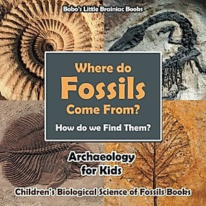 Where Do Fossils Come from? How Do We Find Them? Archaeology for Kids - Children's Biological Science of Fossils Books