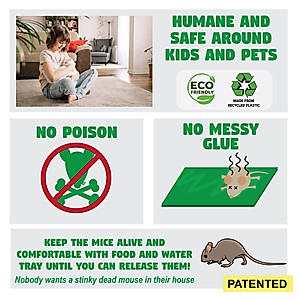 Billy Bob 2 pk Catch and Release Mouse Trap. Patented. Easy and Humane Way to Remove Mice. Effective no-Kill Mouse Trap.