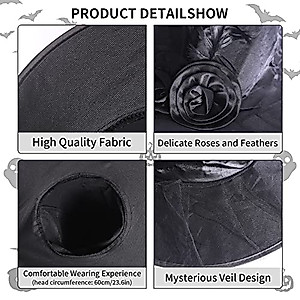 JUSTOTRY Witch Hat for Costume Party & Halloween - Women's & Girls' Black Witch Costume Hat with Roses, Feathers & Iron-on Design, Size 1PBL(Black, Silk, COS-HAT2)