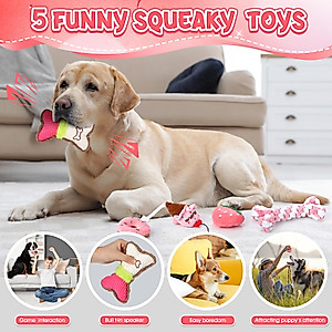 Vinsot 12 Pack Large Dog Chew Toys for Aggressive Chewers Pink Large Dog Teething Toys with Dental Rope Toys, Squeaky Toys, Treat Balls and Chew Bone for Medium, Large X-Large Breeds Dogs