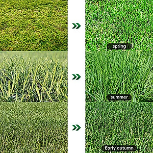 Liquid Fertilizer for Lawn, 5-15-5 Grass Food for Garden Plants Full Nutrients Lawn Fertilizer Soil Liquid Fertilizer 0.5 qt