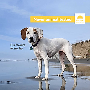 Pacific Shaving Company COLORFUL Shaving Cream, Shave with Purpose - Safe & Natural Ingredients, Cruelty Free, Made in the USA - 6 Item Bundle (7 oz each)