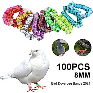 ZBOYZ 2023 Pigeon Ring/Dove Rings Multicolor Aluminium Pigeon Leg Rings Dove Leg Rings Identify Bands Plastic with 100 AU Training Identify Birds Foot Ring, Quality Durable Bird Toys (AU, Blue)