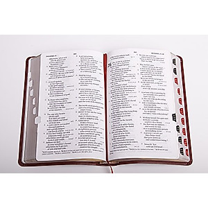 CSB Large Print Personal Size Reference Bible, Brown LeatherTouch, Indexed, Red Letter, Presentation Page, Cross-References, Full-Color Maps, Easy-to-Read Bible Serif Type