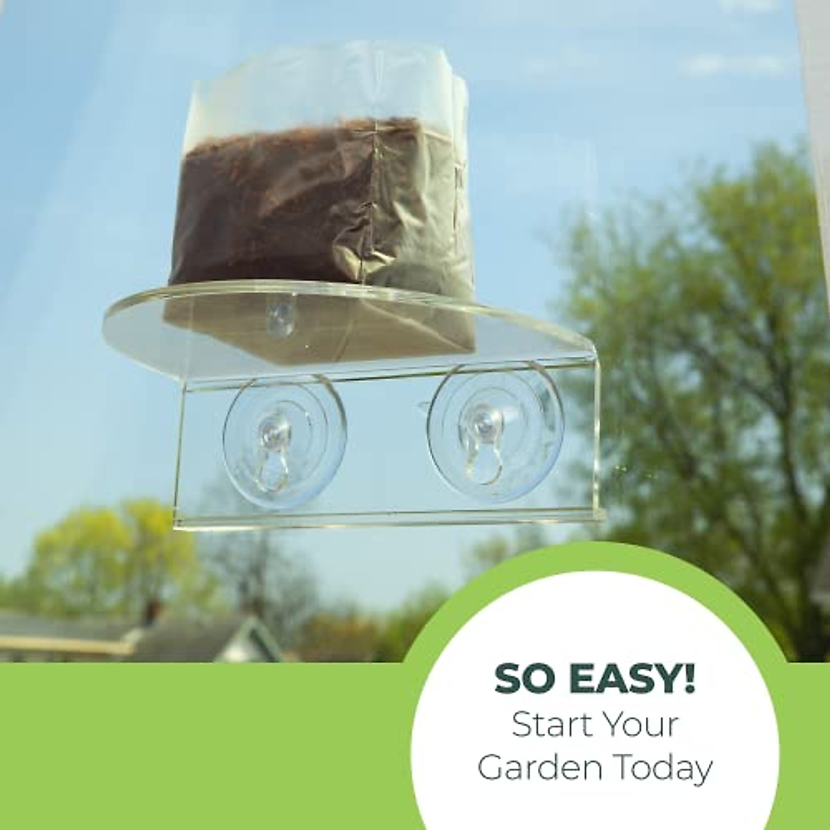 Window Garden Veg Ledge - Window Shelf for Plants, Clear Acrylic Shelves - Suction Cup Indoor Plant Holder - Glass Window Sill Extender for Microgreens Kit, Seed Starter Pots, Planters (1 Pack)