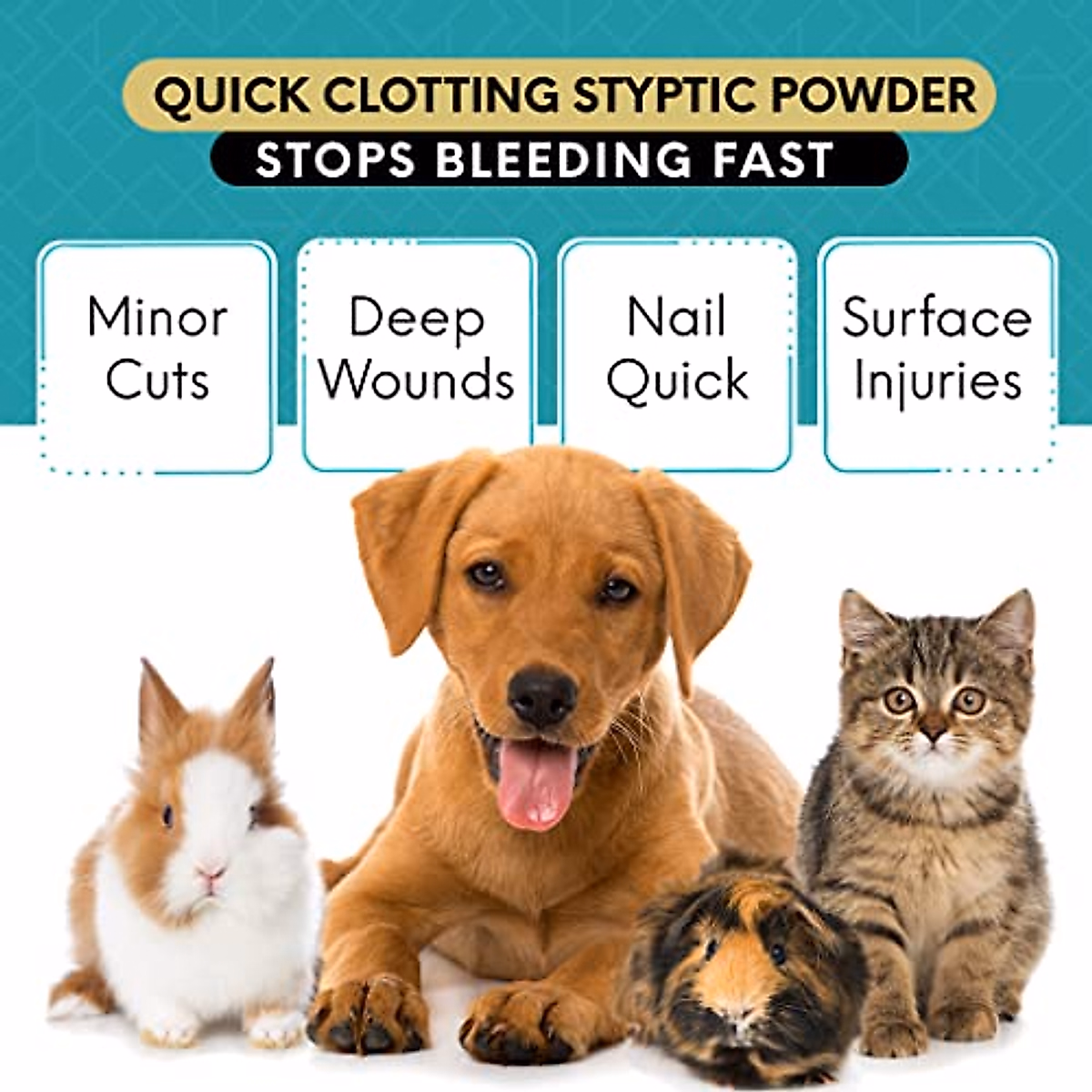 Curicyn Blood Stop Powder - Quick Clotting Styptic Powder for Dogs, Cats, Pigs, Horses, and Pets – All Natural Quick Clot Stop Bleeding Powder for Dog Nails and Minor to Severe External Wounds (3 oz)
