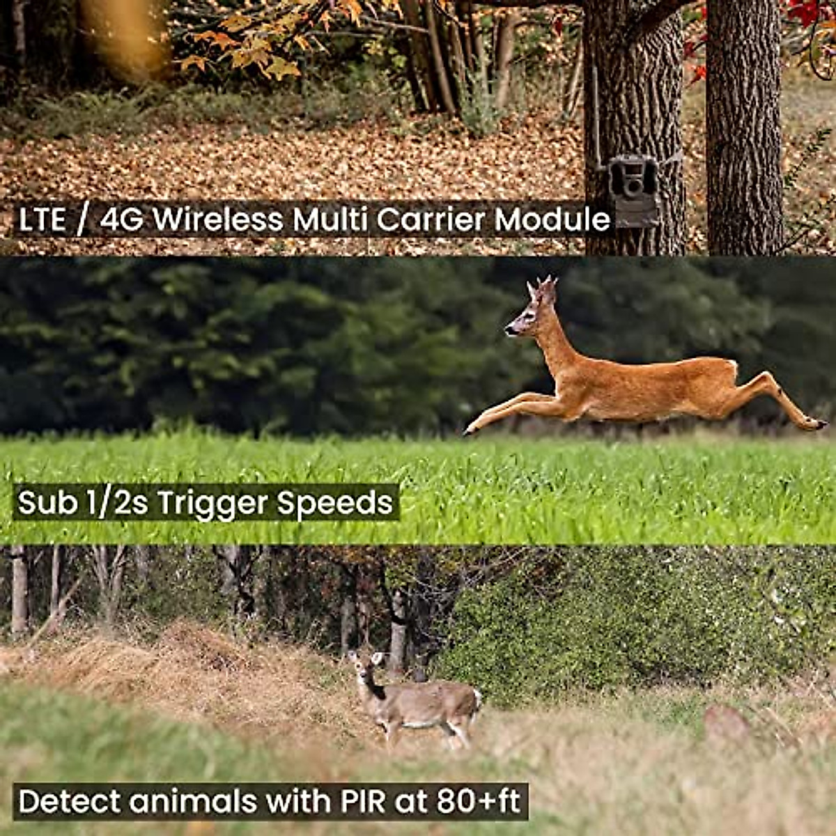 TACTACAM Reveal XB Cellular Trail Camera, No Glow - Verizon & AT&T with Steel Case