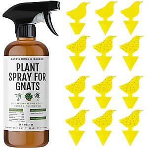 Kate's Home & Garden Plant Spray for Insects & Getting Rid of Gnats with 12 Gnat Sticky Traps. Fungus Gnat Killer & Gnat Control for Indoor Plants (16oz, Pet Safe, Non Toxic)