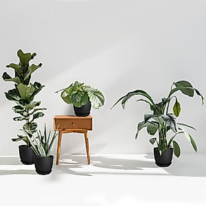 Moneysdodo 8 inch Plant Pots Set of 4 Pack, Plastic Planters with Drainage Holes and 4 Saucers, Morden Decorative Creation Flower Pots for Indoor & Outdoor Garden House Plants, Black