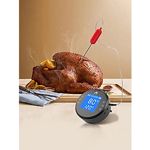 Sanwo WiFi Meat Thermometer with 2 Probes, Digital Wireless Instant Read Smart 2000mAH Rechargeable BBQ Grill Meat Thermometer with Timer, Alarm for Smoker, Oven, Grill, Roast, Kitchen Food Meat