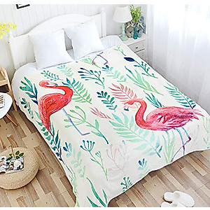 VIVILINEN Flannel Throw Blankets Flamingo Pattern Super Soft Fleece Plush Lap Blankets for Bed Couch Sofa (55"x 72", White)
