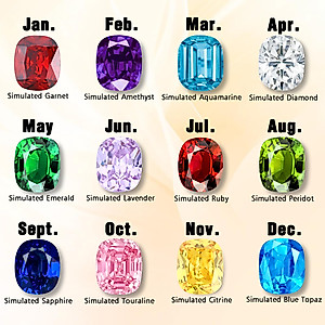 Ccjcinata Personalized 10kt White Gold Men's Class Ring with Birthstone Graduation Ring 2024 Custom Men's Class Ring High School & College Sizes 5-15