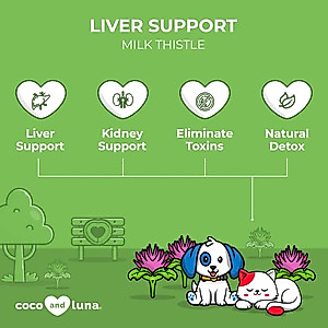 Milk Thistle for Cats, Liver Support for Cats, Detox, Hepatic Support, Promotes Liver Healthy Function for Pets, Kidney Support