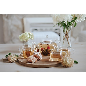 Teabloom Heatproof Glass Teapot Set with Removable Loose Tea Infuser (Standard Size: 32oz/946ml) and Four Borosilicate Glass Teacups (7oz/207ml) - Lead-free Blossoms Glass Tea Set
