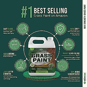 PetraTools Grass Paint Max Strength, Green Grass Lawn Spray & Dog Spot Repair, Lawn Paint, Spray on Grass, Green Lawn Spray, Grass Paint for Lawn, Lawn Spray Paint, Green Dye for Lawn (1 Gal)