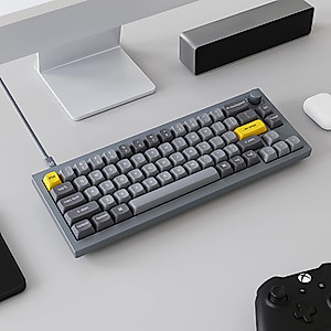 Keychron Q2 Wired Custom Mechanical Keyboard Knob Version, 65% Layout QMK/VIA Programmable Macro with Hot-swappable Gateron G Pro Brown Switch Double Gasket Compatible with Mac Windows Linux (Grey)