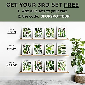 Buy 3 Get 1 Offer - Set of 4 UNFRAMED Plant Poster - Botanical Wall Art - Plant Stuff - Green Wall Art - Plant Wall Art - Plant Art Wall Prints - Plant Prints - Plant Pictures Wall Art 8x10" (VERDE)