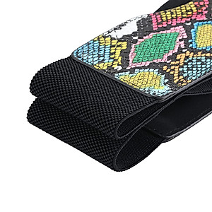CHIC DIARY Elastic Waist Belt for Women Colorful Snakeskin Wide Cinch Belt Stretchy Waistband
