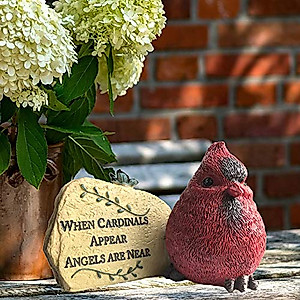 BANBERRY DESIGNS Cardinal Desk Rock - When Cardinals Appear Angels are Near - Memorial Sentiment with Red Cardinal Design - in Loving Memory of a Loved One