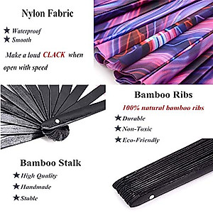Leehome Large Rave Folding Hand Fan for Women/Men,Chinese/Japanese with Bamboo and Nylon-Cloth Handheld Fan,for Performance,Decorations, Dance,Festival Party,Gift (C03)