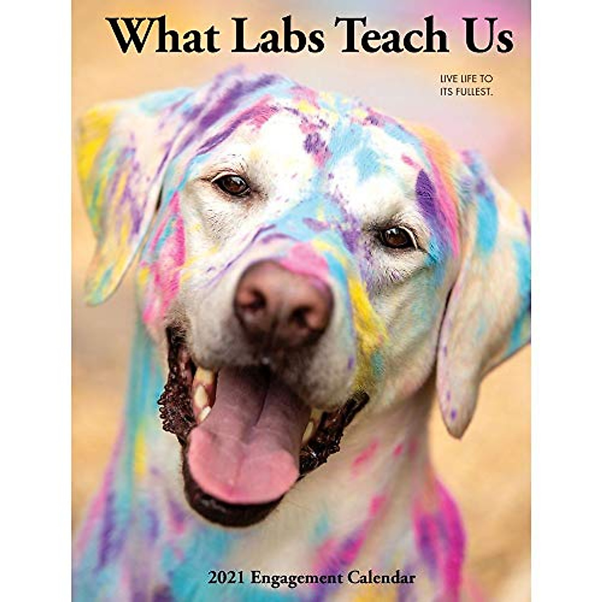 What Labs Teach Us 2021 Engagement Calendar (Dog Breed Calendar)