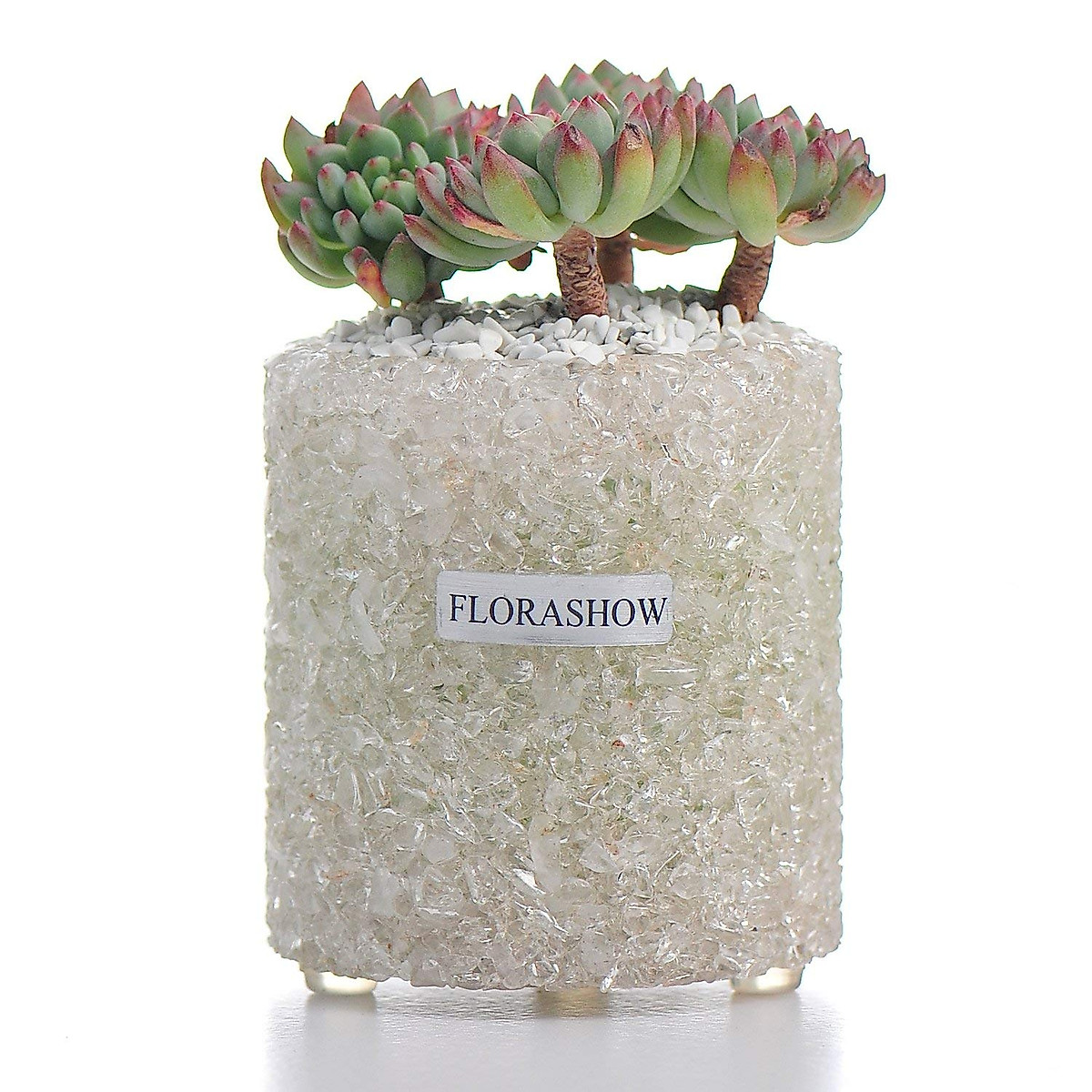 FLORASHOW Succulent Pots,White Crystal Materials Mini 3.26 inch Succulent Planter Pot, Ultra-Breathable, Water-Permeable Suitable for Succulents, Cactus, Smaller Plants and More