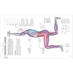 Science of Running: Analyze your Technique, Prevent Injury, Revolutionize your Training (DK Science of)