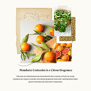 Thymes Fragrance Mist - 3 Oz - Mandarin Coriander