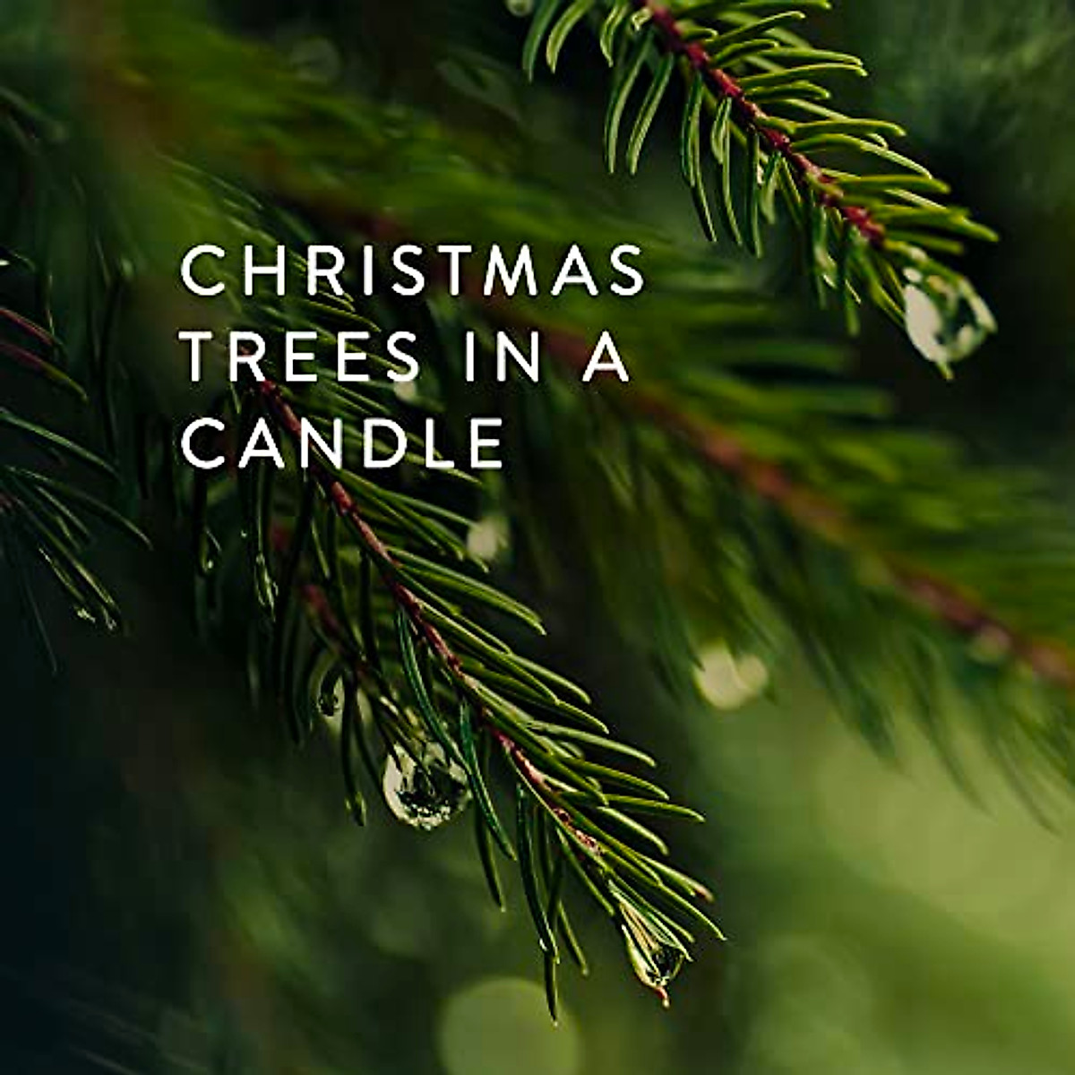 Thymes - Frasier Fir Limited Edition Statement Poured Candle, Small - 5 Ounce