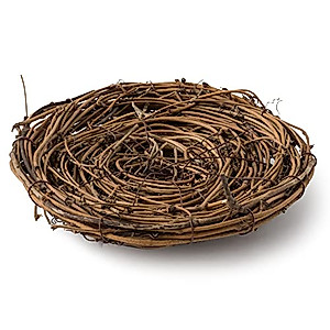 Michaels Bulk 12 Pack: Bird Nest by Ashland®