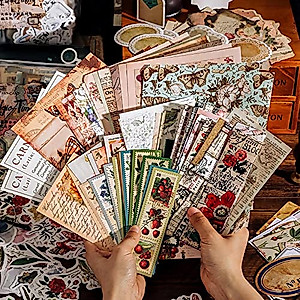 Zhosinrehe 274 Pieces Vintage Scrapbook Supplies for Bullet Journaling Supplies, Ephemera Paper Stickers Scrapbooking Collage Stickers, DIY Art Junk Journaling Supplies Kit(Butterfly)