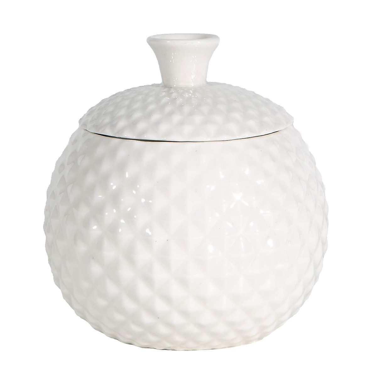 Fruit Fly Jar Trap for Kitchens - Decorative, Effective, Kid and Pet Friendly (White)