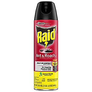 Raid Ant & Roach Killer Lemon Scent 17.5 Ounce (Pack of 6)