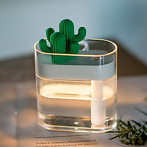 AmuseNd USB Cool Mist Humidifier with Night Light, Mini Size Cactus Humidifier for Bedroom Home Office Car with Timed auto Shutdown(Transparent)