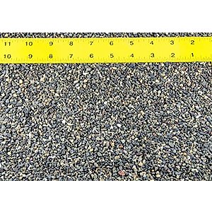 3 Lbs Criva Bean Pebbles for Bonsai Humidity Tray/Bonsai Tree Top Dressing