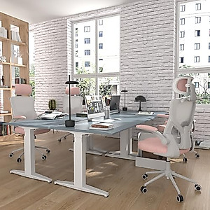 Ergonomic Office Chair, High Back Mesh Desk Chair with Molded Foam Cushion, Adjustable Headrest, Lumbar Support, Lock Function (Petal Pink)