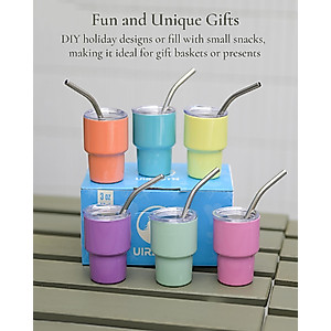 UIRZOTN 3oz Mini Tumbler Shot Glass with Straw and Lid, 6 Pack Stainless Steel Sublimation Shot Glasses for Wedding Party Whiskey Cocktail Bar with Straw and Lid