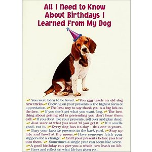 All I Need From Dog - Portal Funny Birthday Card