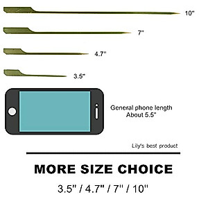 3.5 inch Bamboo wood wooden Paddle Picks Skewers Toothpicks for Cocktail，Appetizers，Fruit，Sandwich，Barbeque Snacks.More Size Choices 3.5''/ 4.7''/ 7''/ 10'' (Pack of 100)