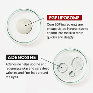 ARZTIN Regenerative Schild Cream, Daily Repair Cream for Sensitive & anti-aging Care Dermatologist-Recommended 1.8 oz.