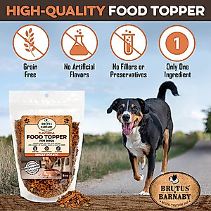 BRUTUS & BARNABY Dog Food Topper - Beef Liver - Enhance Your Dogs Meal with This Flavor Packed Mix - Sprinkle On Dog Food Flavoring for Picky Eaters - Just One Single Ingredient