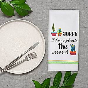 DDOFAH Funny Kitchen Towels and Dishcloths Sets of 4 Kitchen Towels with Sayings Tea Dish Towel for Cooking Baking New Home Gifts,Housewarming Gift Home Decorations