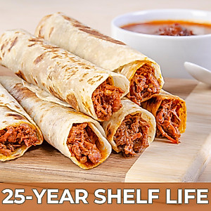 Nutristore Freeze Dried Pulled Pork | Pre-Cooked Shelf Stable Meat for Survival Emergency Food Supply, Meal Prep, and Backpacking/Camping | Made in USA | 25 Year Shelf Life | #10 Can, 18.5 oz