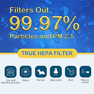 2 Pack True HEPA/Carbon Filters Replacement Compatible with NUWAVE OxyPure Large Area Smart Air Cleaner Purifier Models 47001, 47002, 47003, 47004, 47005, and 47006., Activated Carbon + HEPA Combo