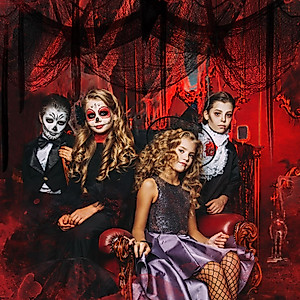 Tranqun 3 Pcs Halloween Creepy Cloth 80 x 400 Inch Black Halloween Gauze Cloth Giant Spooky Fabric Cloth for Haunted House Indoor Outdoor Party Decor Supplies Backdrops for Garden, Doorways, Yard